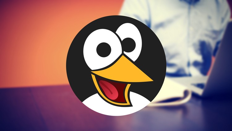 Linux Command Line Interface And Bash Scripting