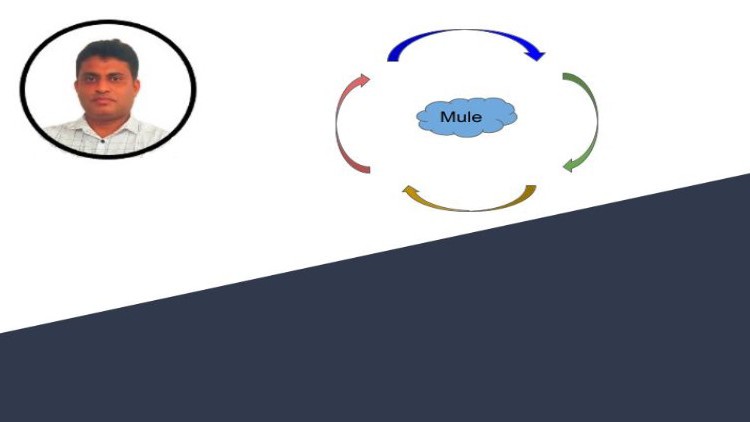 Mulesoft - Full API lifecycle Management Mulesoft - Full API lifecycle Management