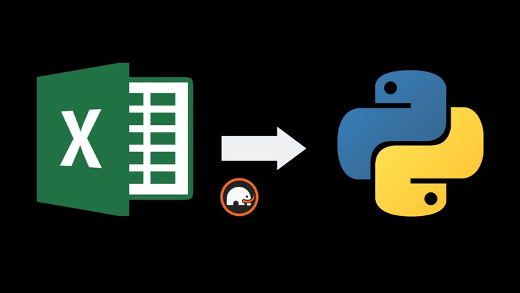 Automate Excel With Python Programming