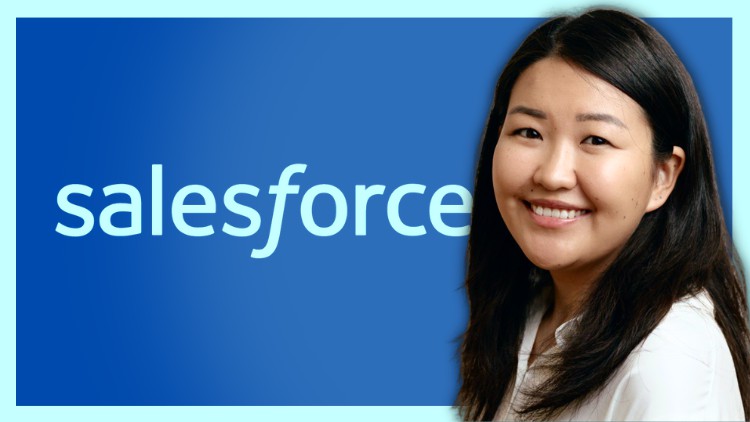 Build A Beautiful Salesforce Portfolio 2024 Coupon